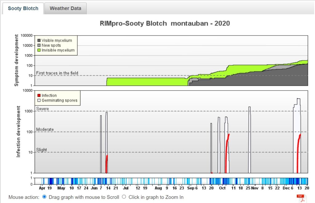 Sooty Blotch - RIMpro